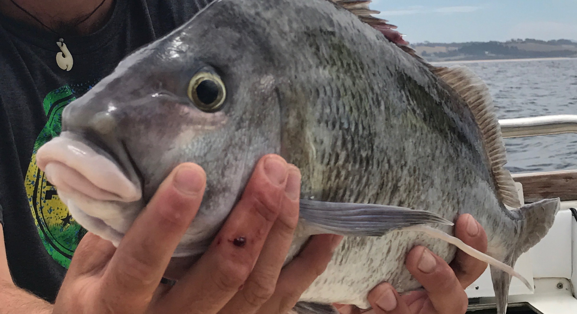 Reef Fishing - Head Hunter Charters